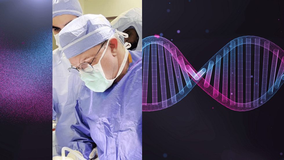 Adamantinoma: A Rare Bone Tumor of the Tibia | Symptoms & Treatment